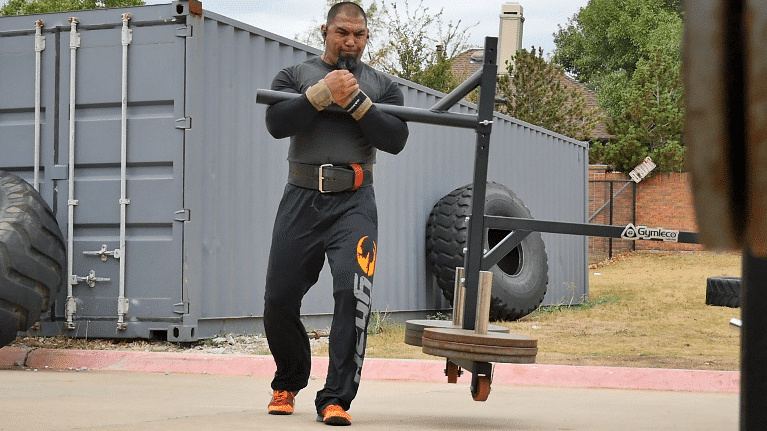 Gymleco 665 Conan Wheel | Best Used Gym Equipment