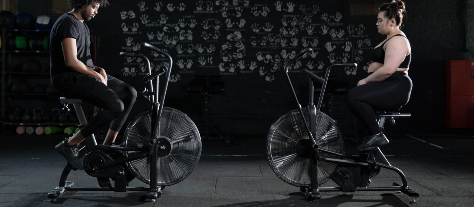 Top 12 Low Impact Exercise Equipment and Training Machines | BUGE