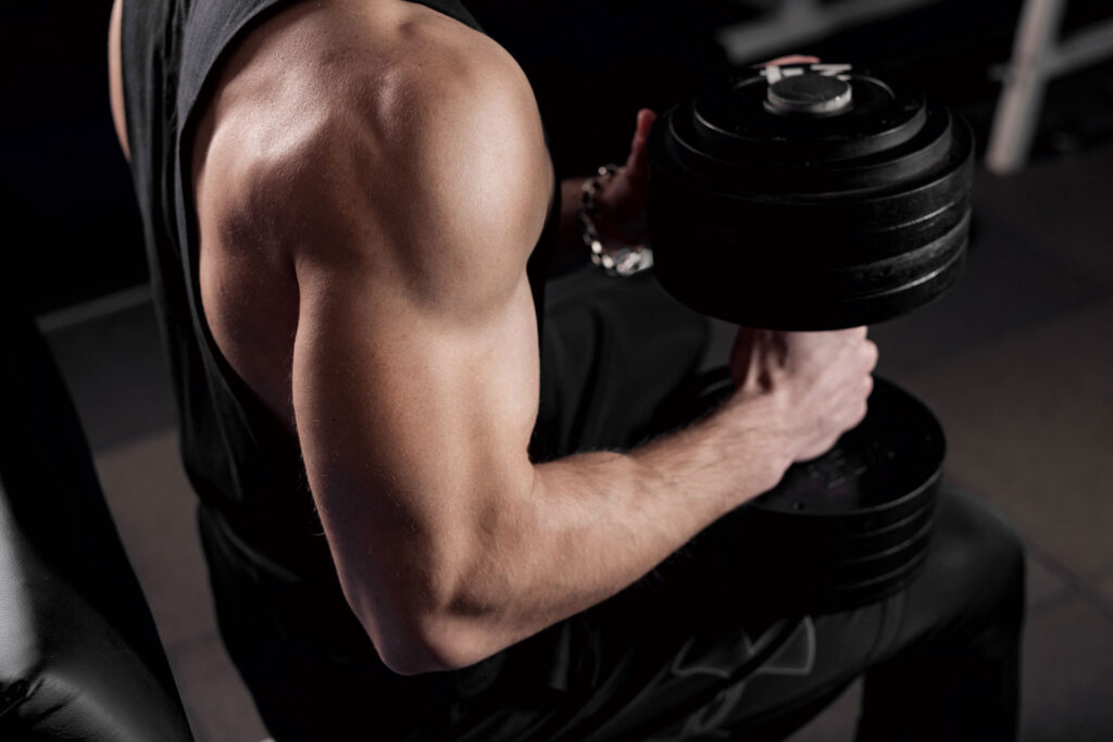 Best Gym Equipment for Training Biceps: Types, Price and Muscles ...