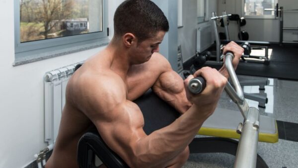 Best Gym Equipment for Training Biceps: Types, Price and Muscles ...