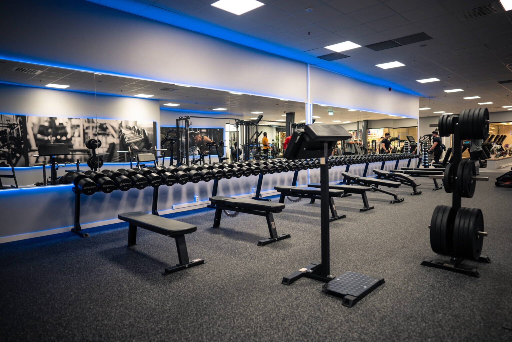 Gymleco 152 Standing Scott Curl Bench | Best Used Gym Equipment