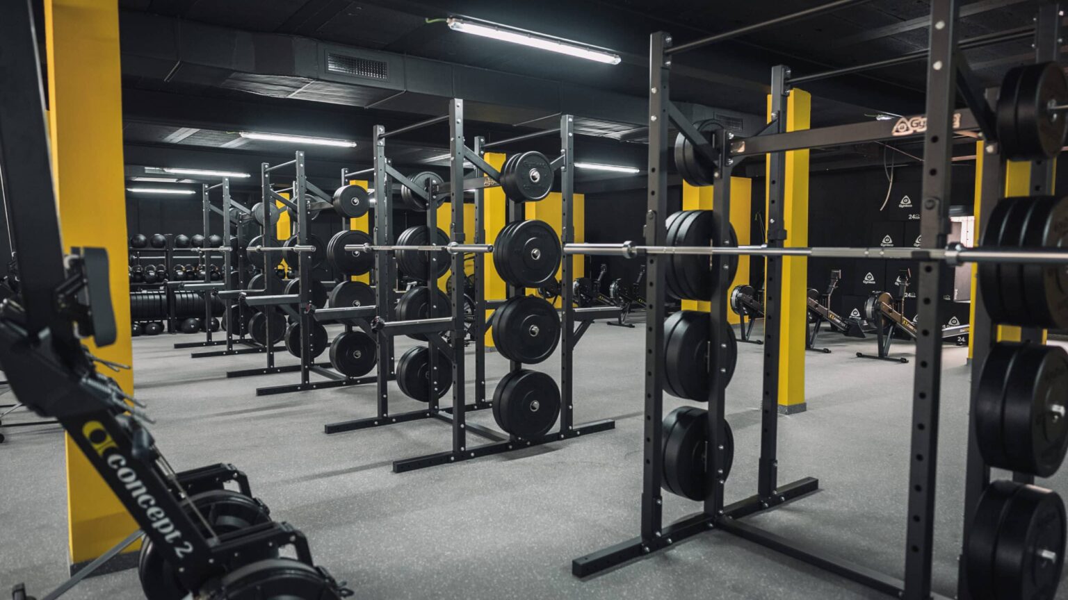 Best 16 Back Exercising Equipment and Machines for Your Home or ...