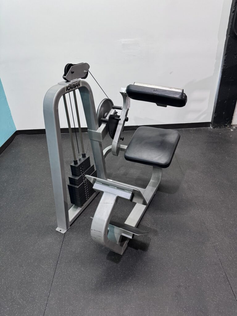 Precor Icarian Low Back Extension | Best Used Gym Equipment