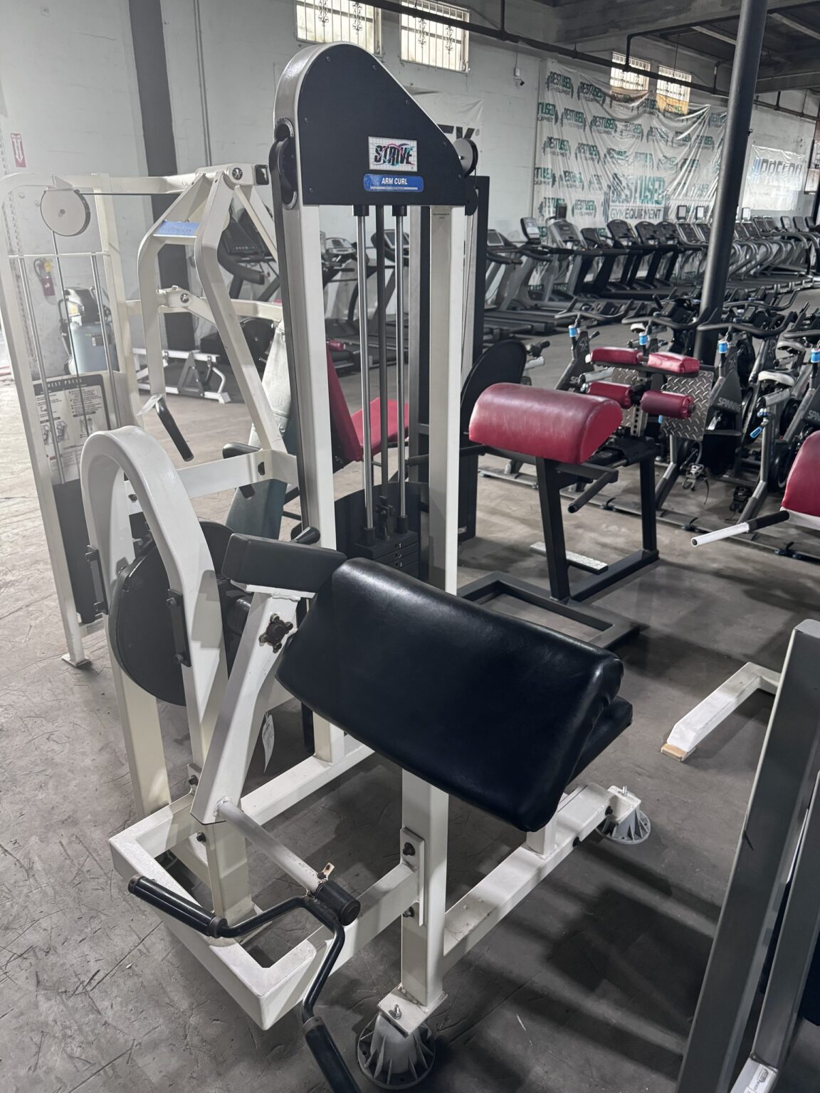 Strive Bicep Curl | Best Used Gym Equipment