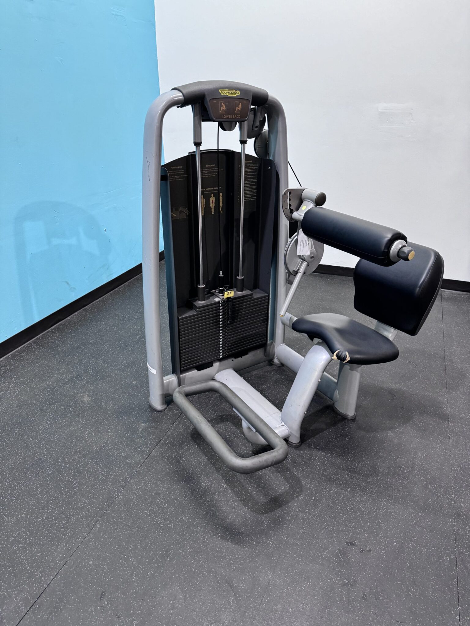 Technogym Lower Back | Best Used Gym Equipment